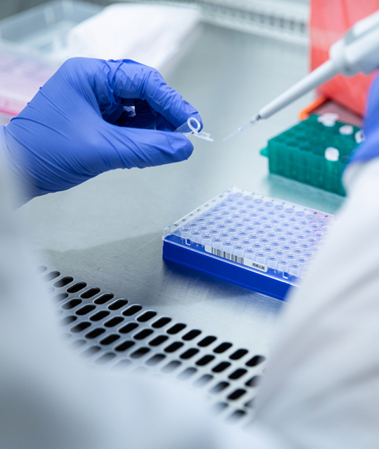 Preliminary Tests | Doctors Plaza